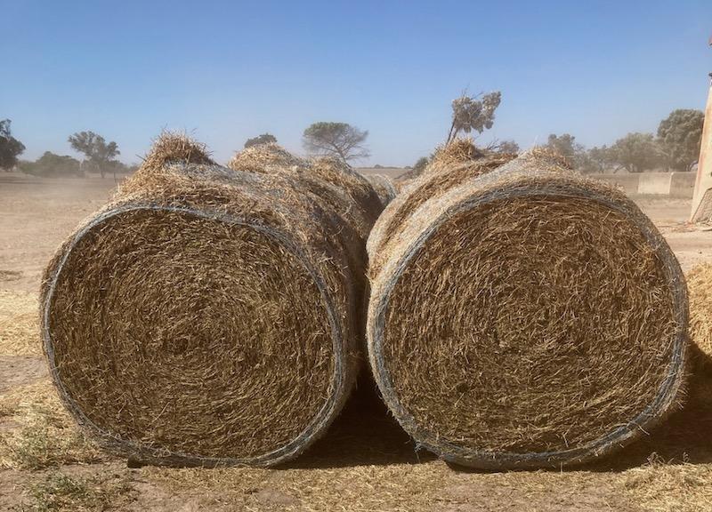 FCS auctions online Item Detail